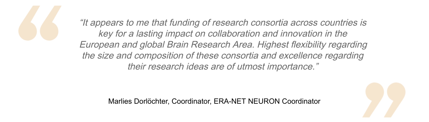 Mapping Report - European Brain Research Area (EBRA)