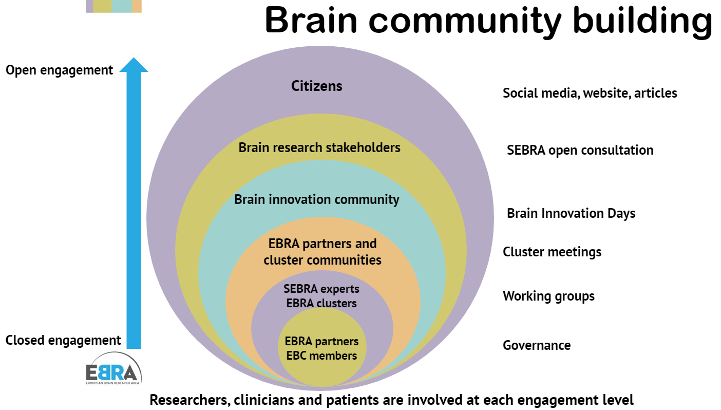 EBRA project comes to a close with Final Conference - European Brain Research Area (EBRA)